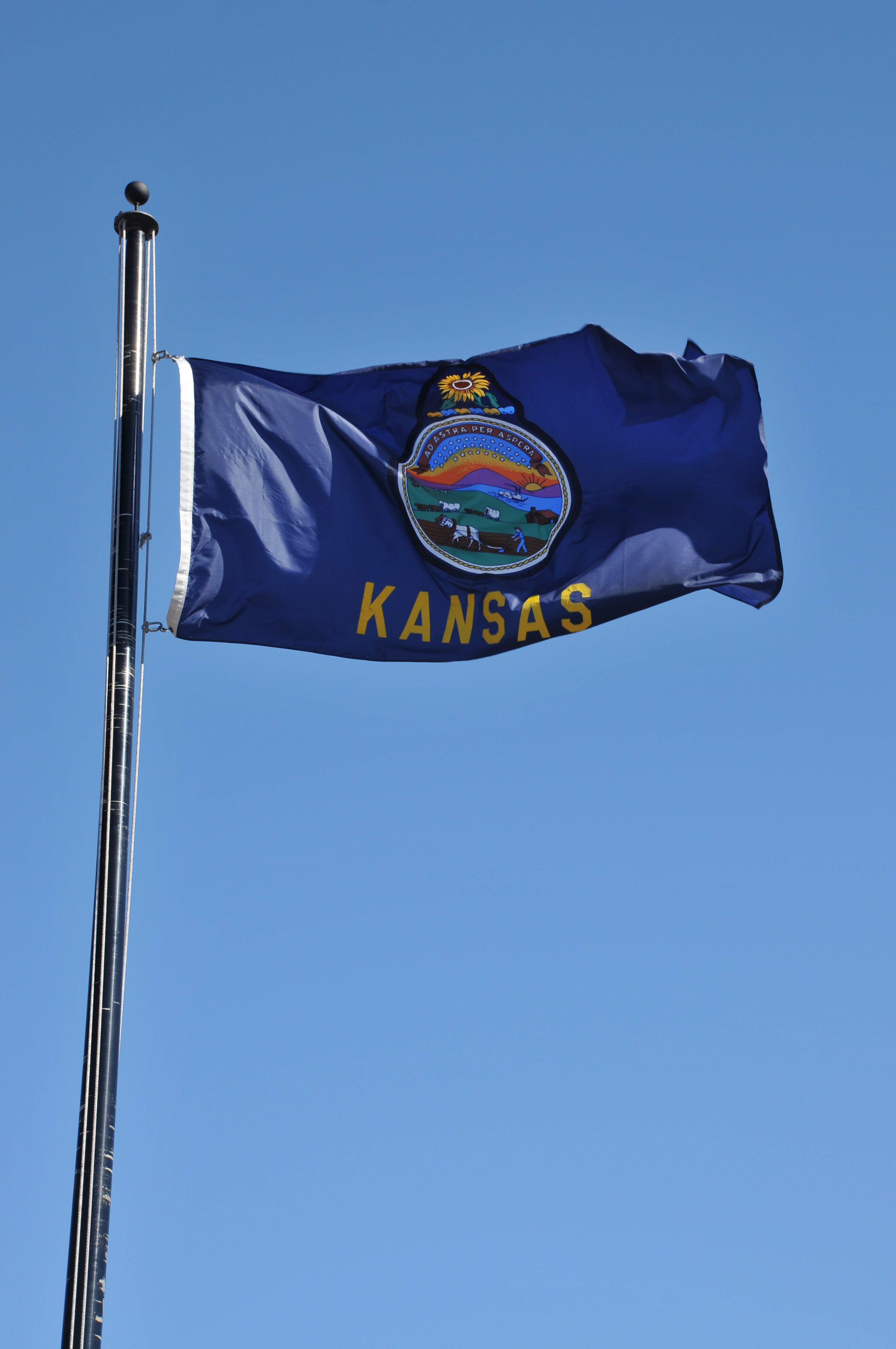 Study Kansas Launches